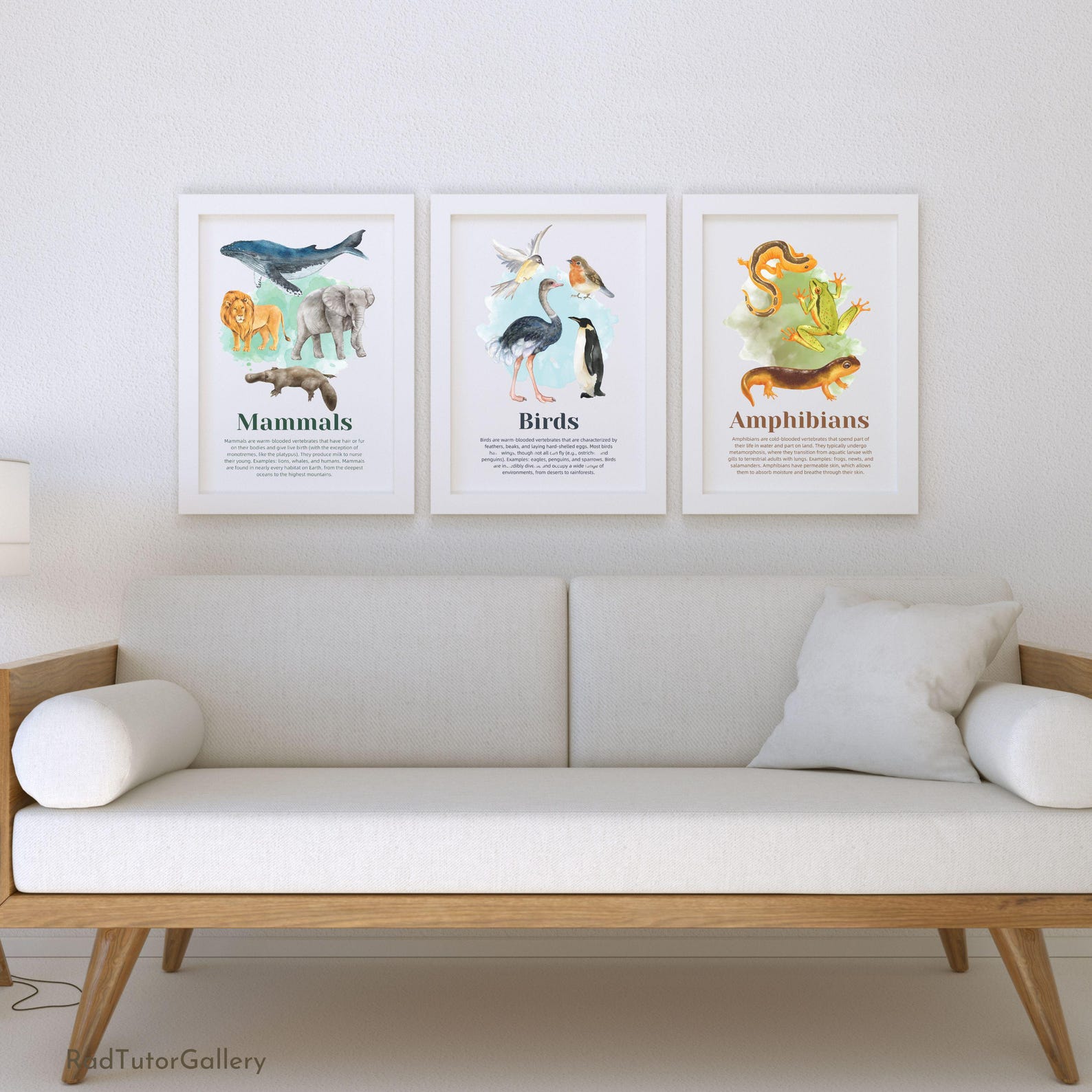 Animal Kingdom Posters, Animals Ecology Posters, High School Science ...