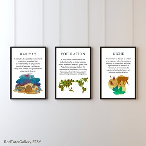 Ecological Concepts Posters, High School Science, Science Classroom ...