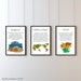 Ecological Concepts Posters, High School Science, Science Classroom ...