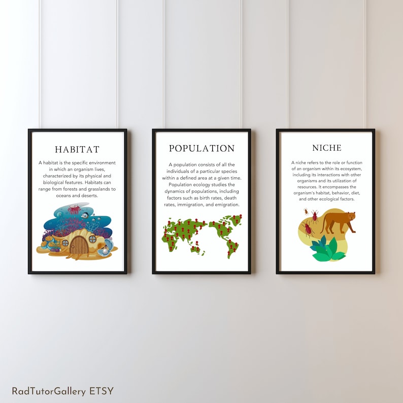 Ecological Concepts Posters, High School Science, Science Classroom ...
