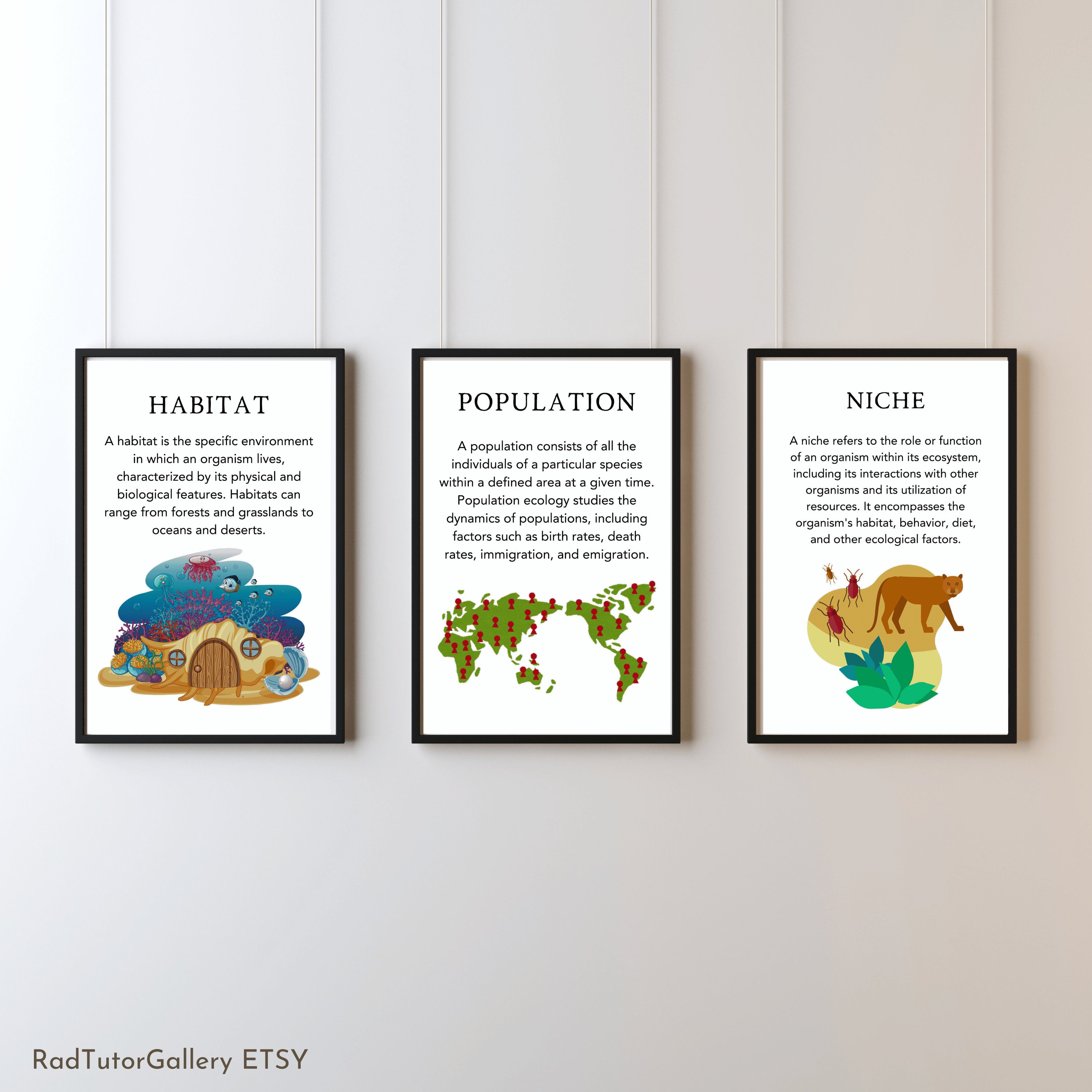 Ecological Concepts Posters, High School Science, Science Classroom ...