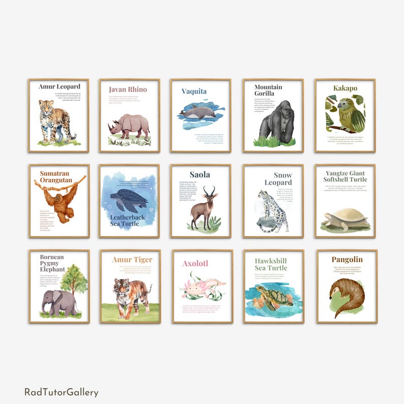 Endangered Species Posters, Animals Ecology Posters, High School ...