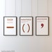 Punctuation Classroom Posters Set of 12, Boho Classroom Decor, English ...