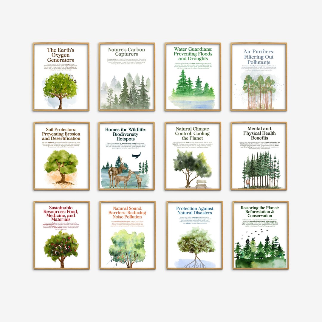 The Power of Trees Prints, Ecology Posters, High School Science ...