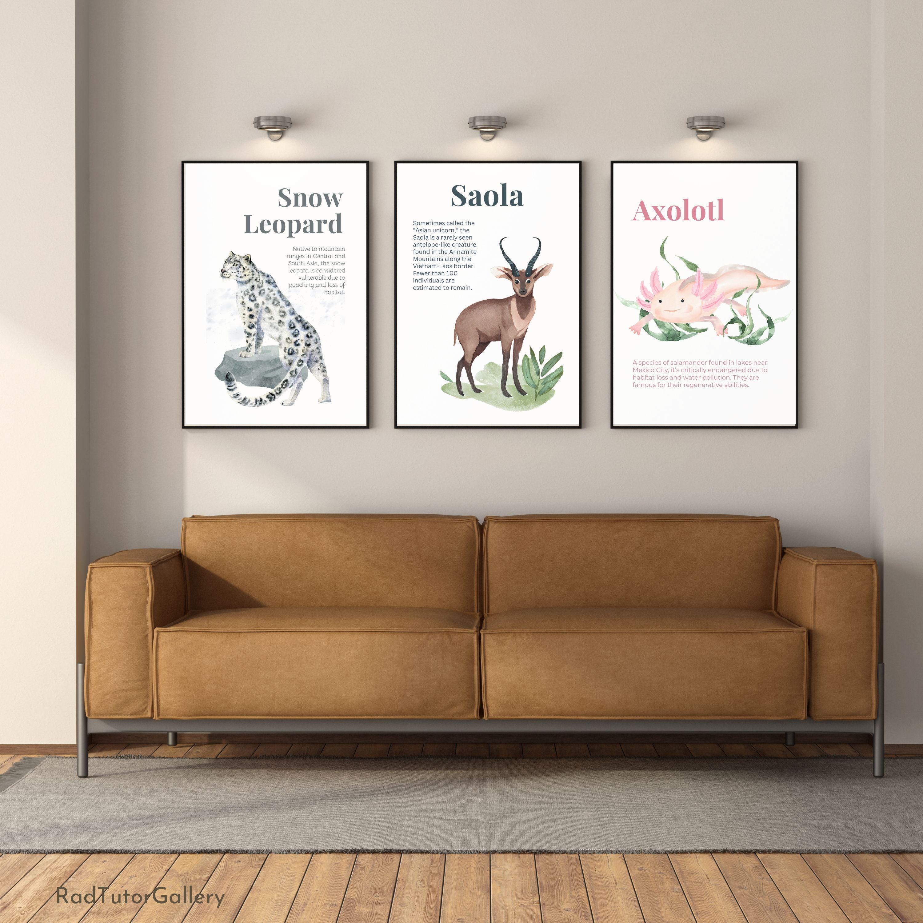 Endangered Species Posters, Animals Ecology Posters, High School ...