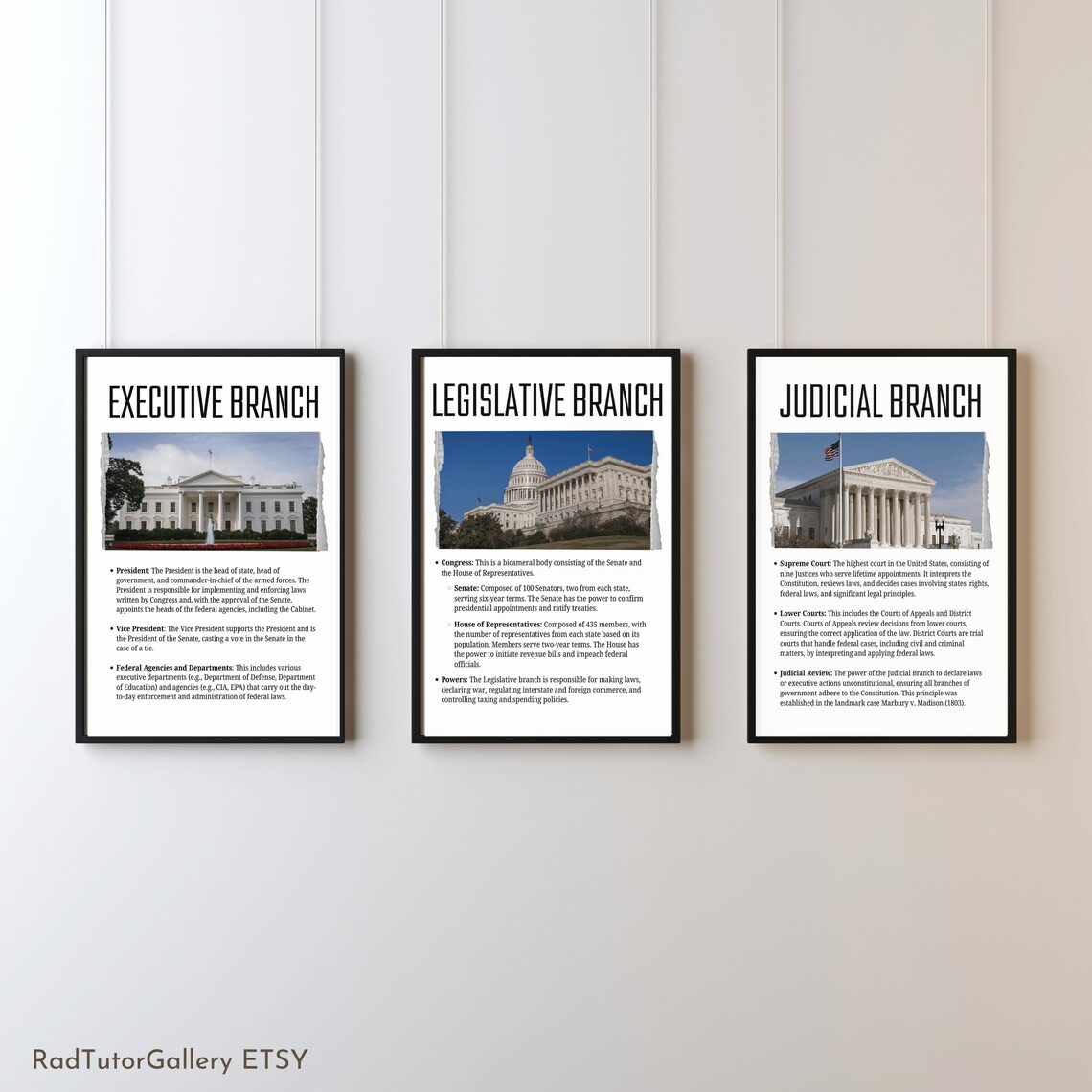 US Government Branches Posters, History Classroom Posters, American ...