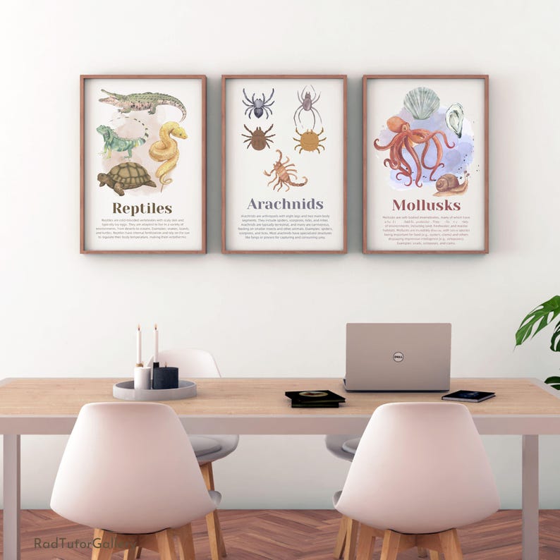 Animal Kingdom Posters, Animals Ecology Posters, High School Science ...