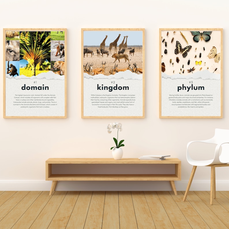 Animal Classifications, Ecology Posters, High School Science Classroom ...