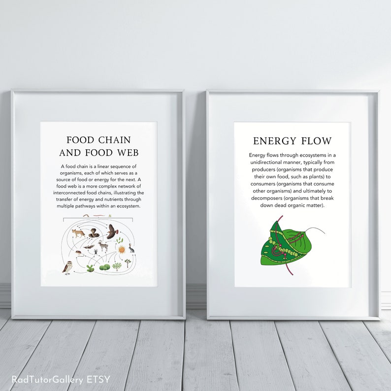 Ecological Concepts Posters, High School Science, Science Classroom ...