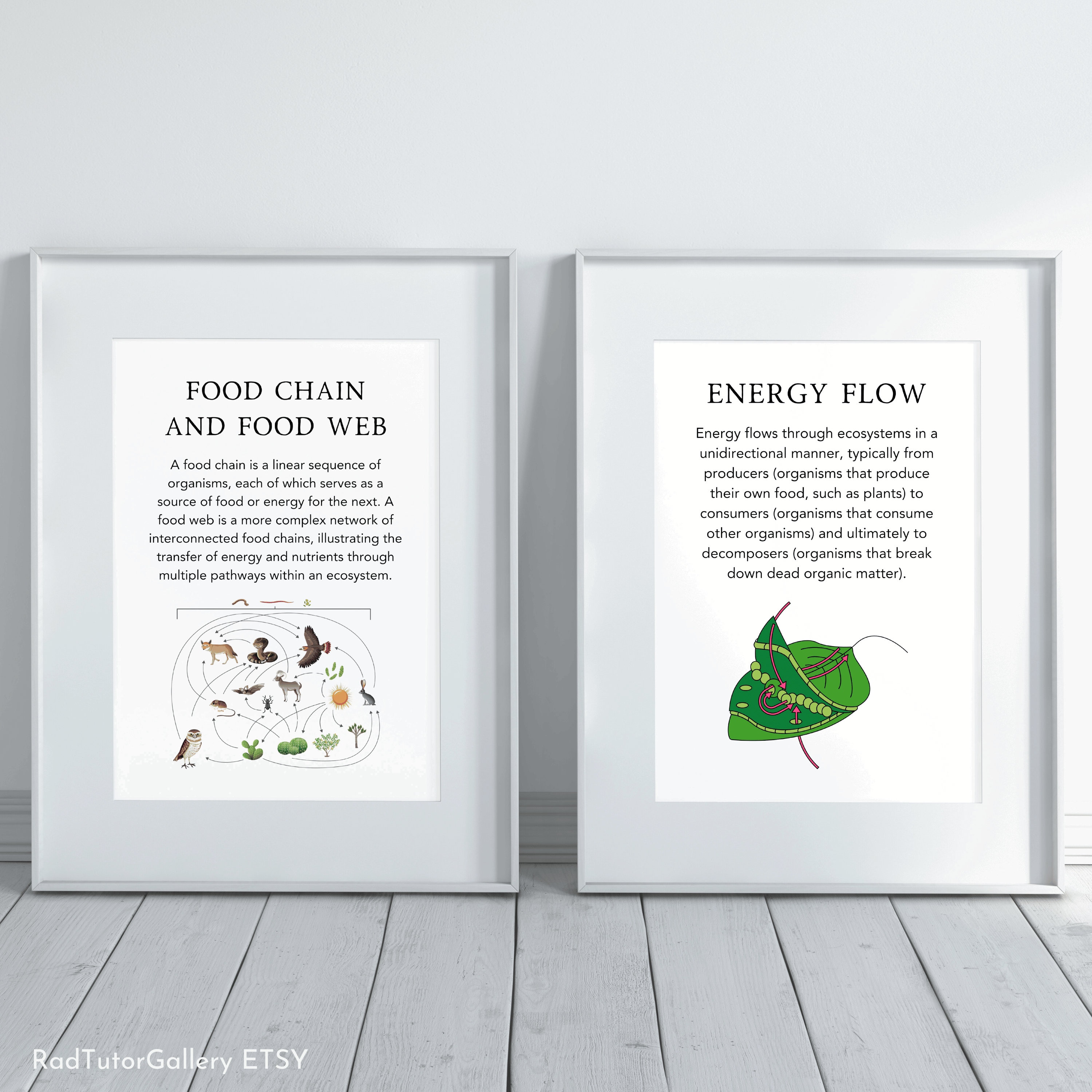 Ecological Concepts Posters, High School Science, Science Classroom ...