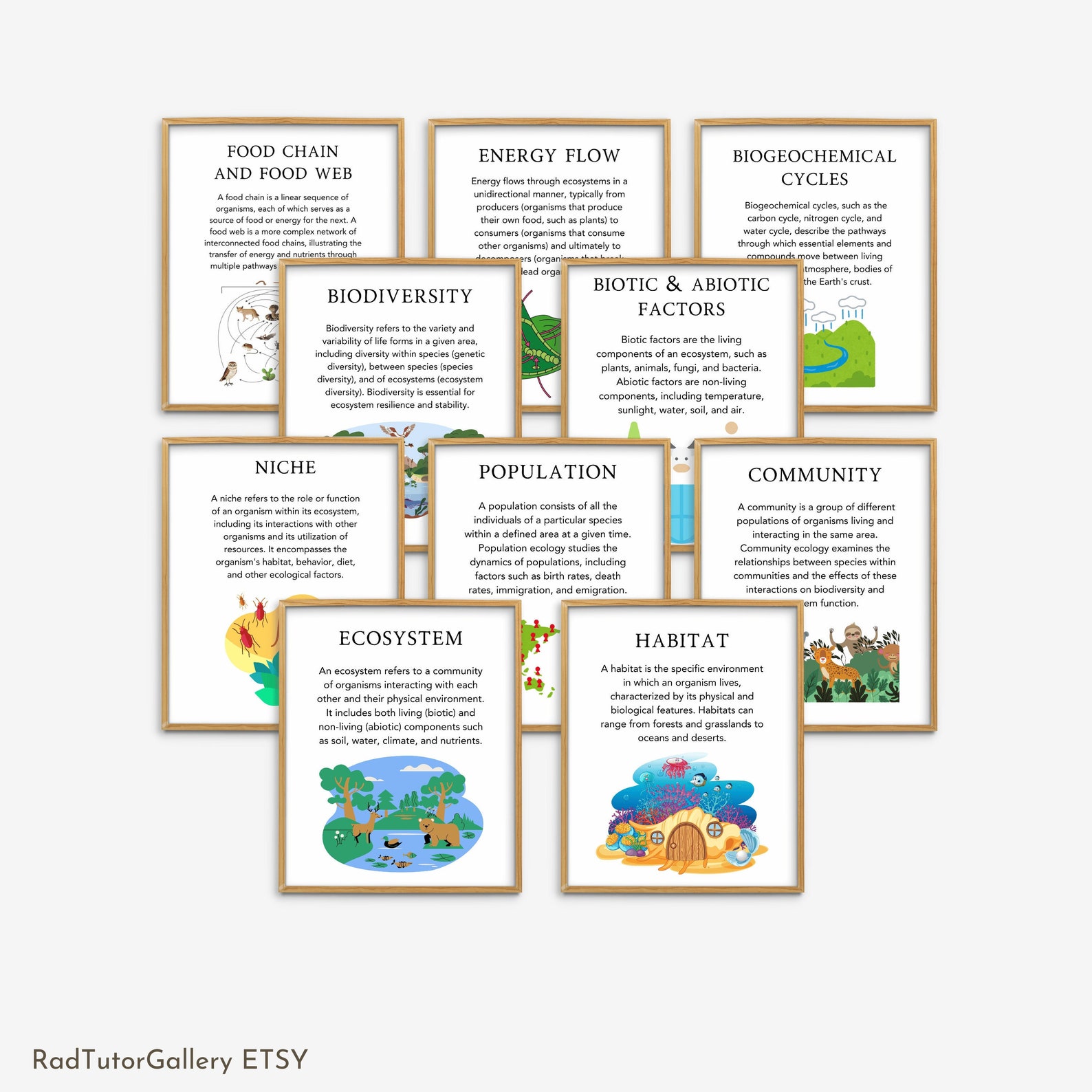 Ecological Concepts Posters, High School Science, Science Classroom ...
