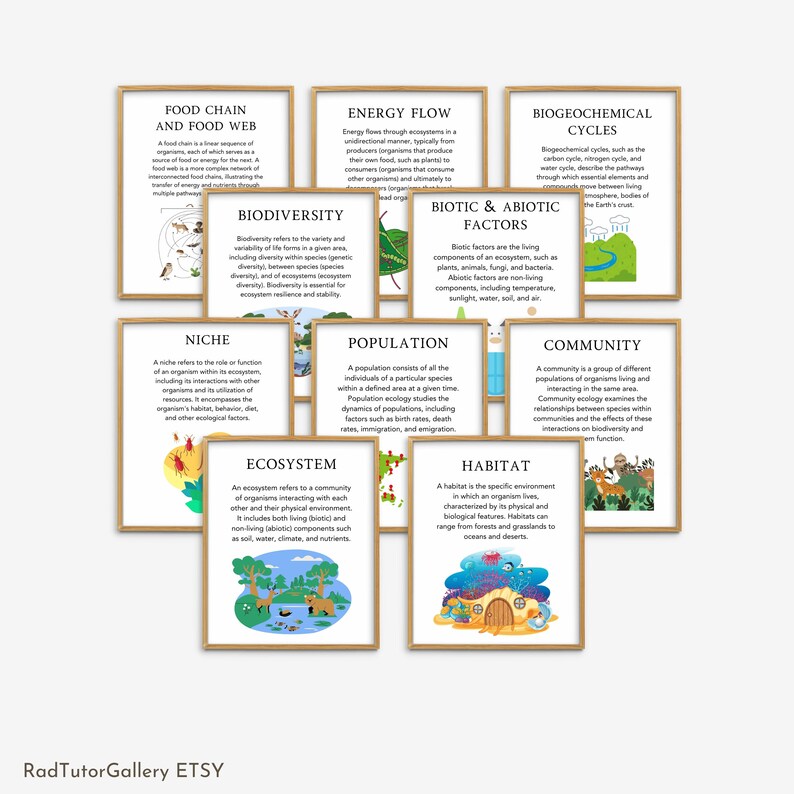 Ecological Concepts Posters, High School Science, Science Classroom ...