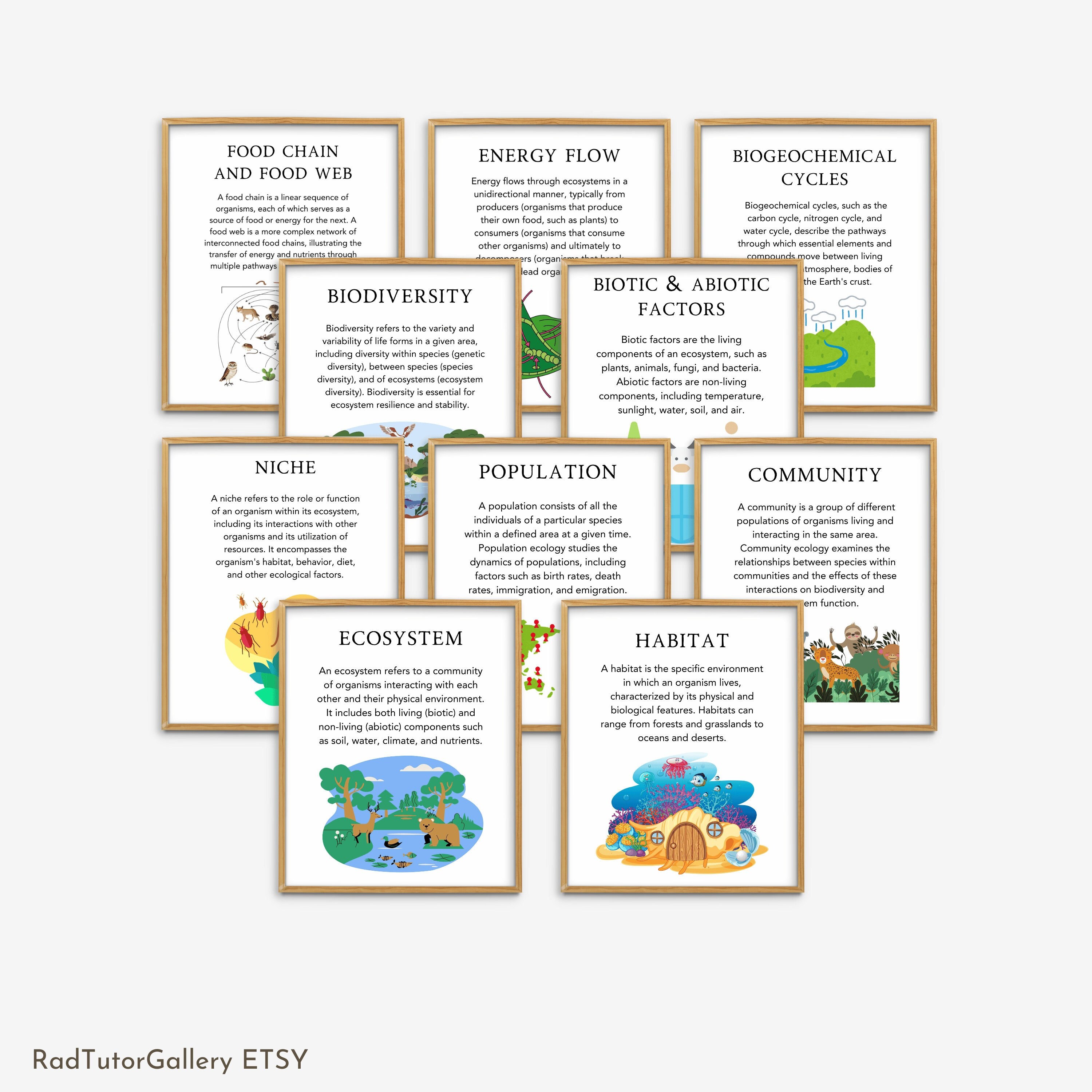 Ecological Concepts Posters, High School Science, Science Classroom ...
