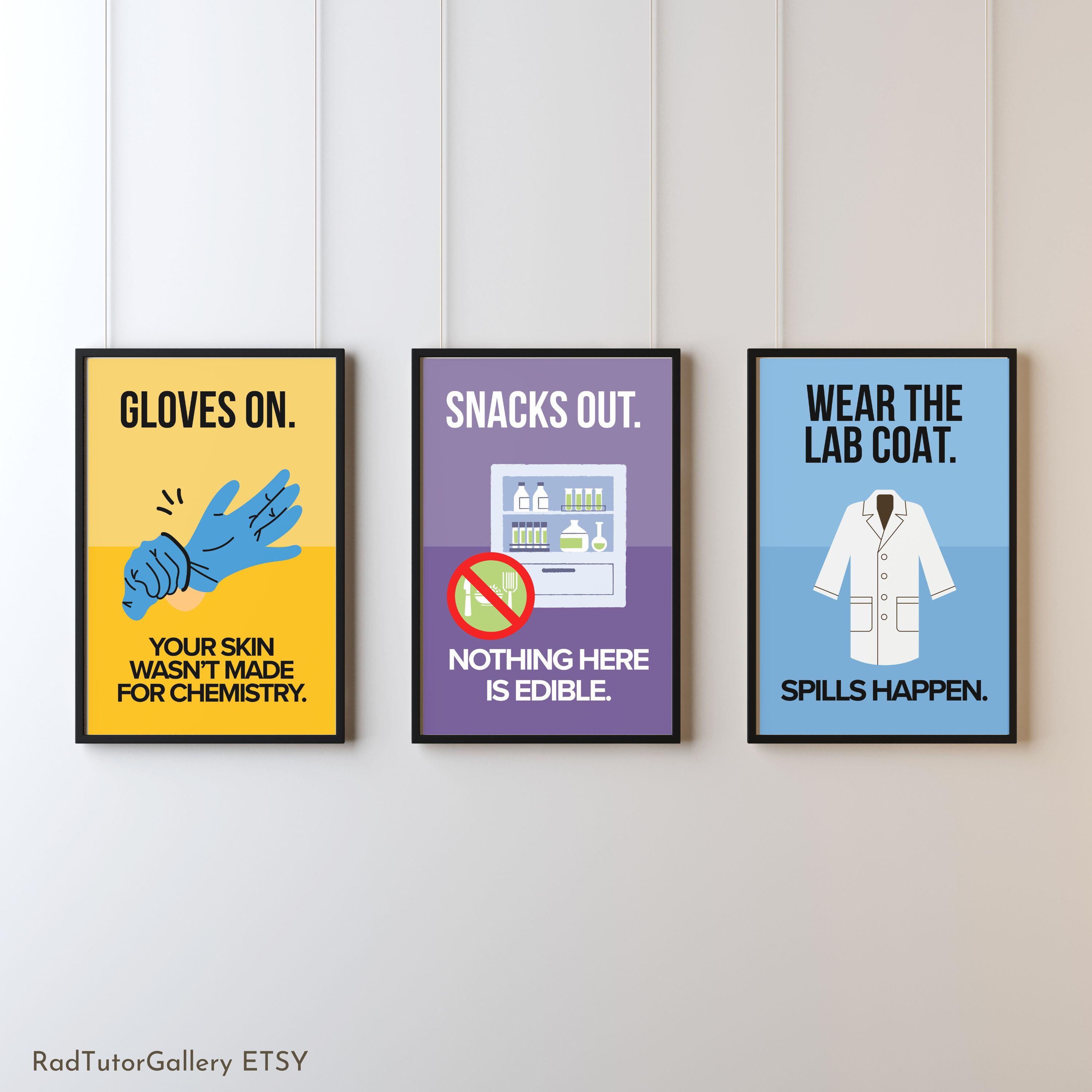 Funny Science Lab Safety Rules Posters, Chemistry Classroom Poster ...