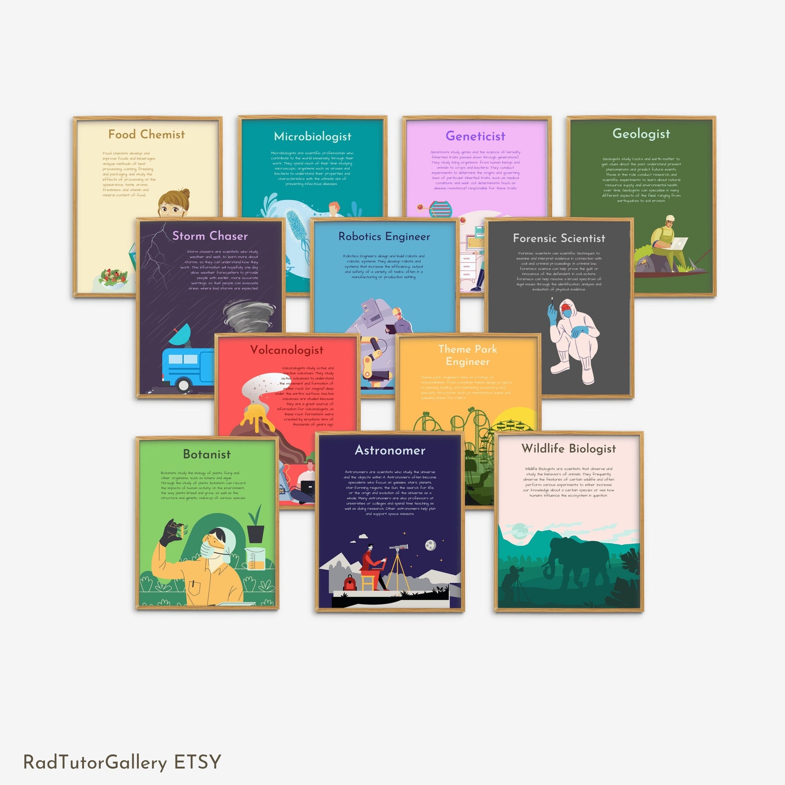 Science Careers Classroom Poster Set of 12, Science Classroom Decor ...