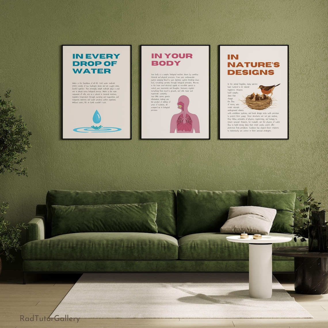 Science is Everywhere Classroom Poster Set of 12, Science Classroom ...