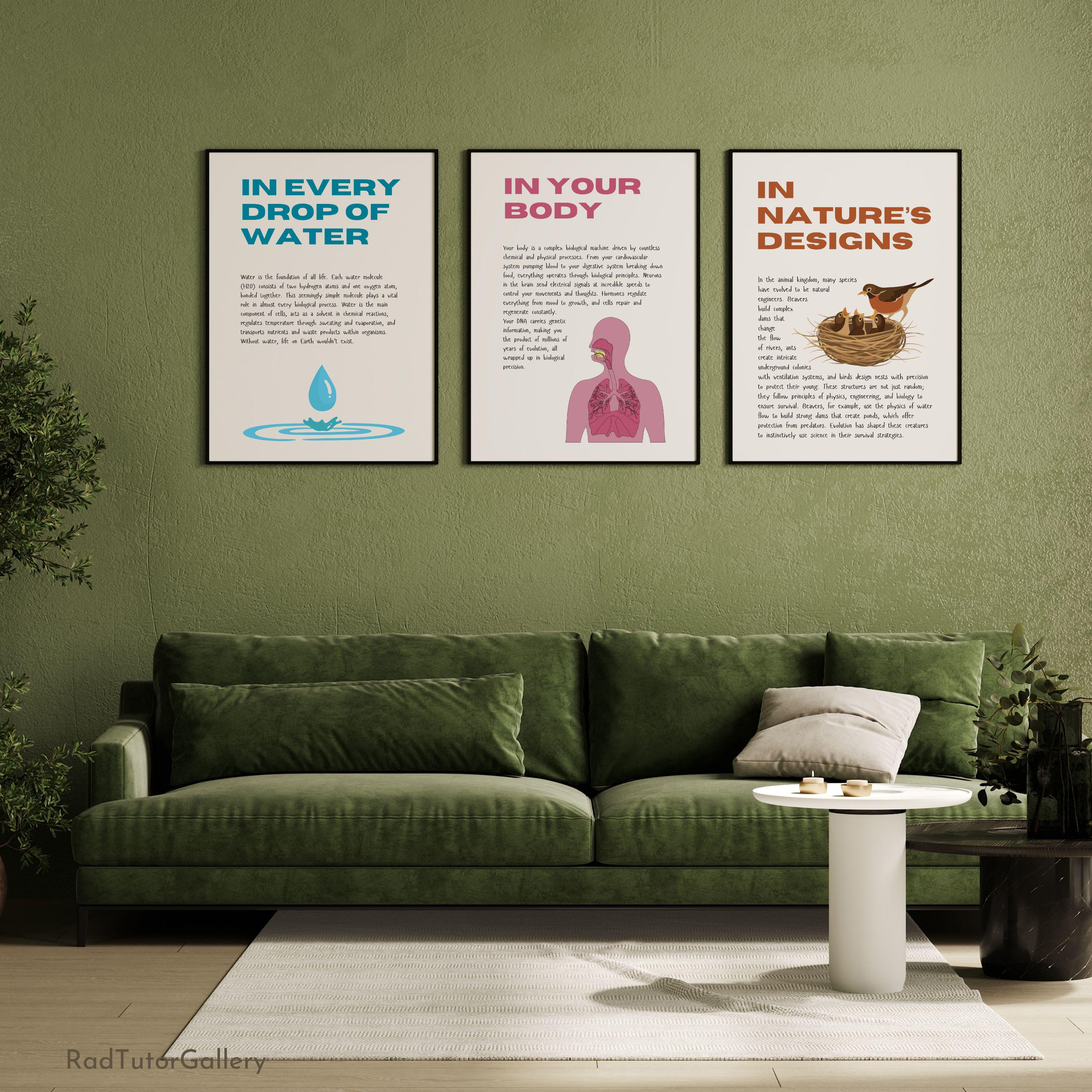 Science is Everywhere Classroom Poster Set of 12, Science Classroom ...
