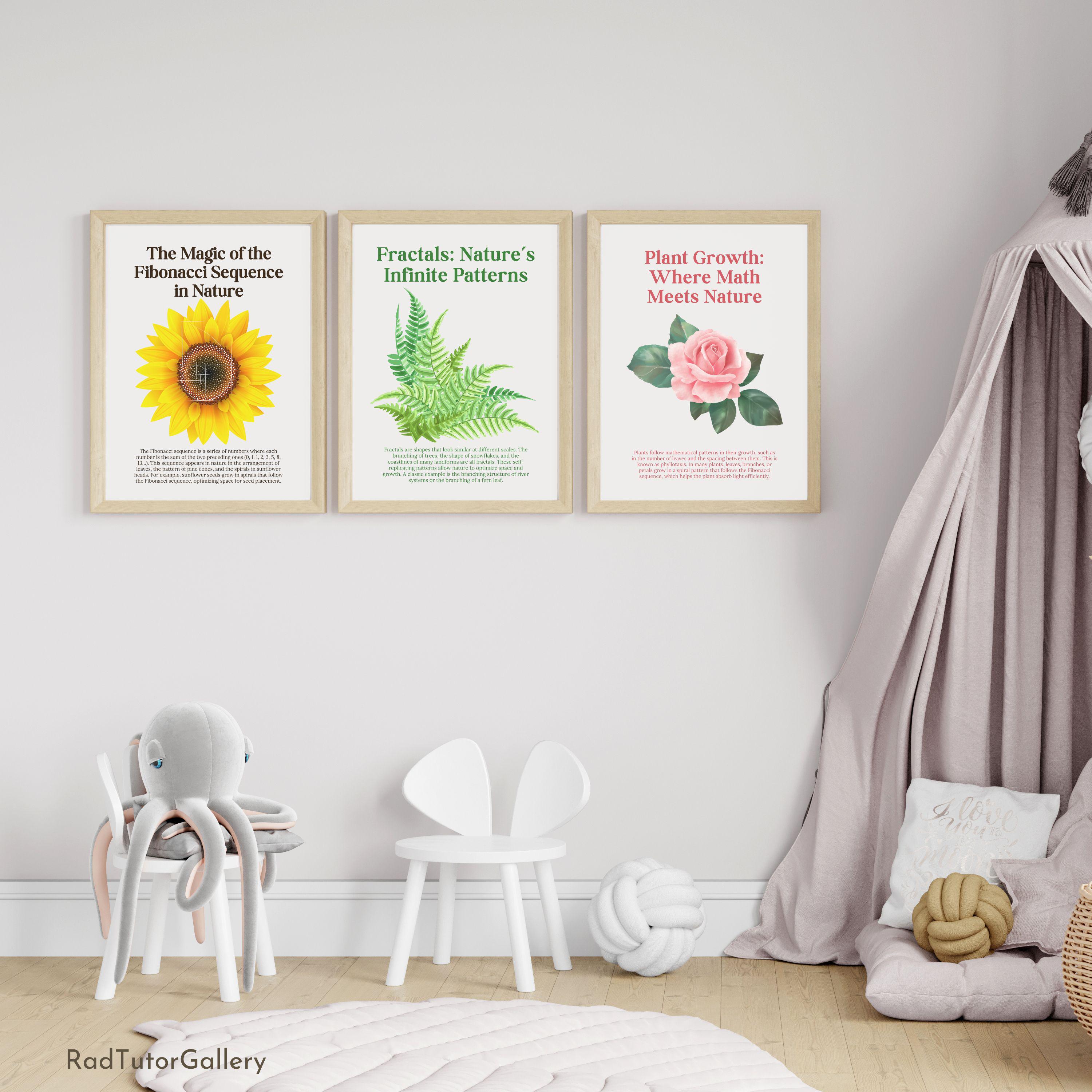 Math in Nature Posters, Math in Real Life Classroom Poster, Mathematics ...