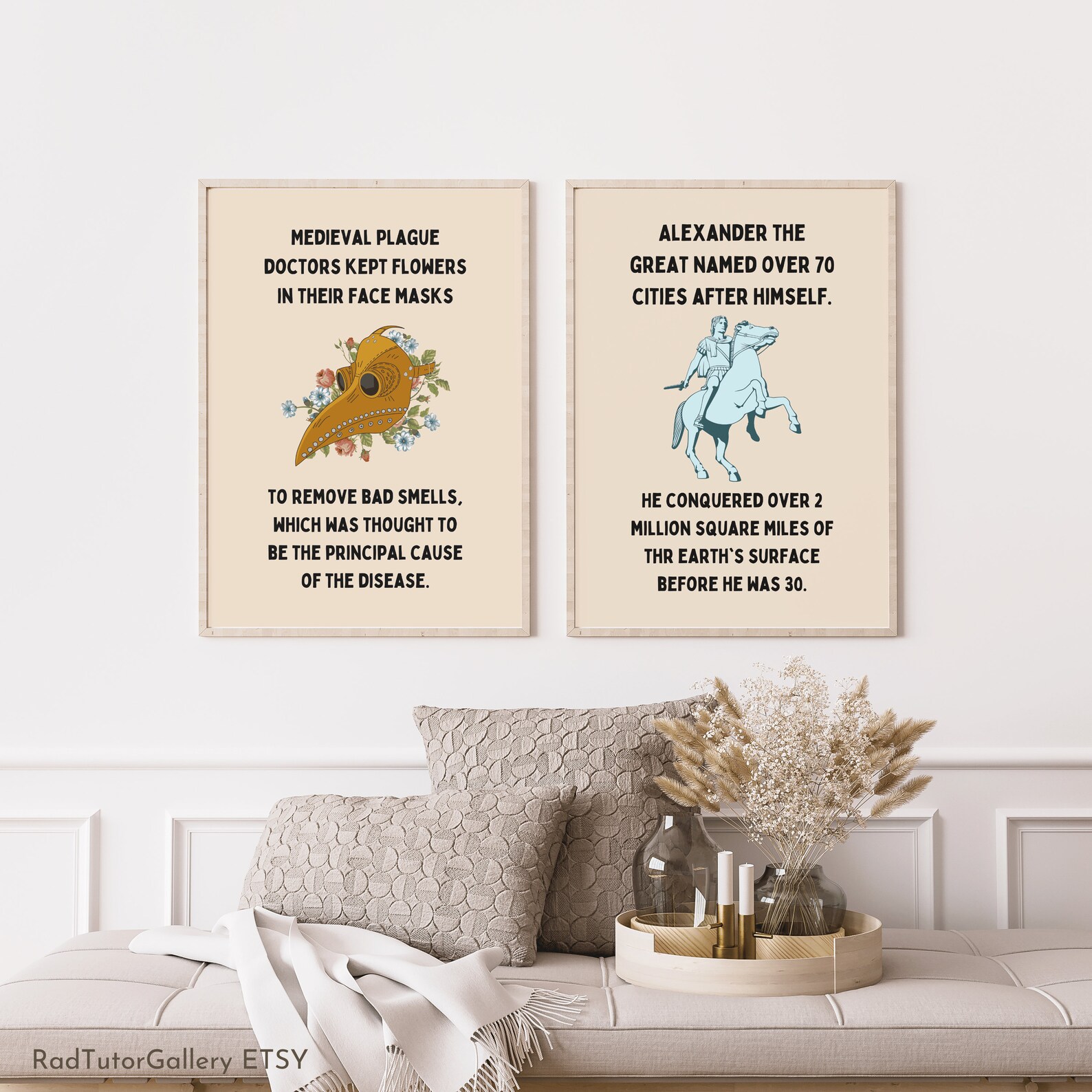 History Fun Facts Posters Set of 10, History Teacher Posters, History ...