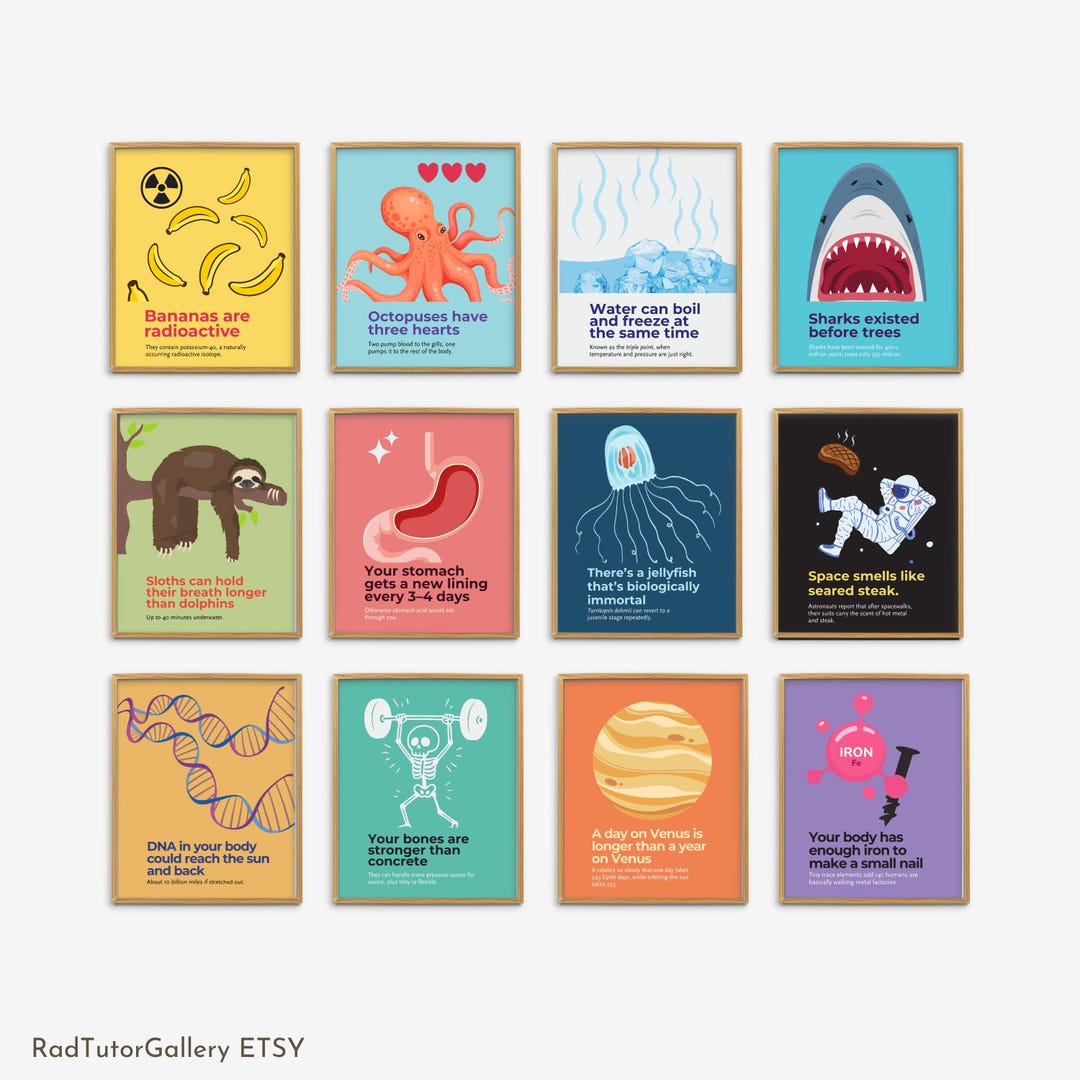 Science Fun Facts, Science is Everywhere Classroom Poster, Science ...