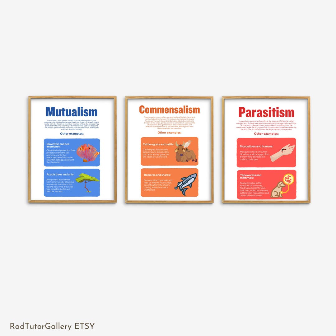 Symbiosis Posters, Middle High School Science Classroom Decor ...
