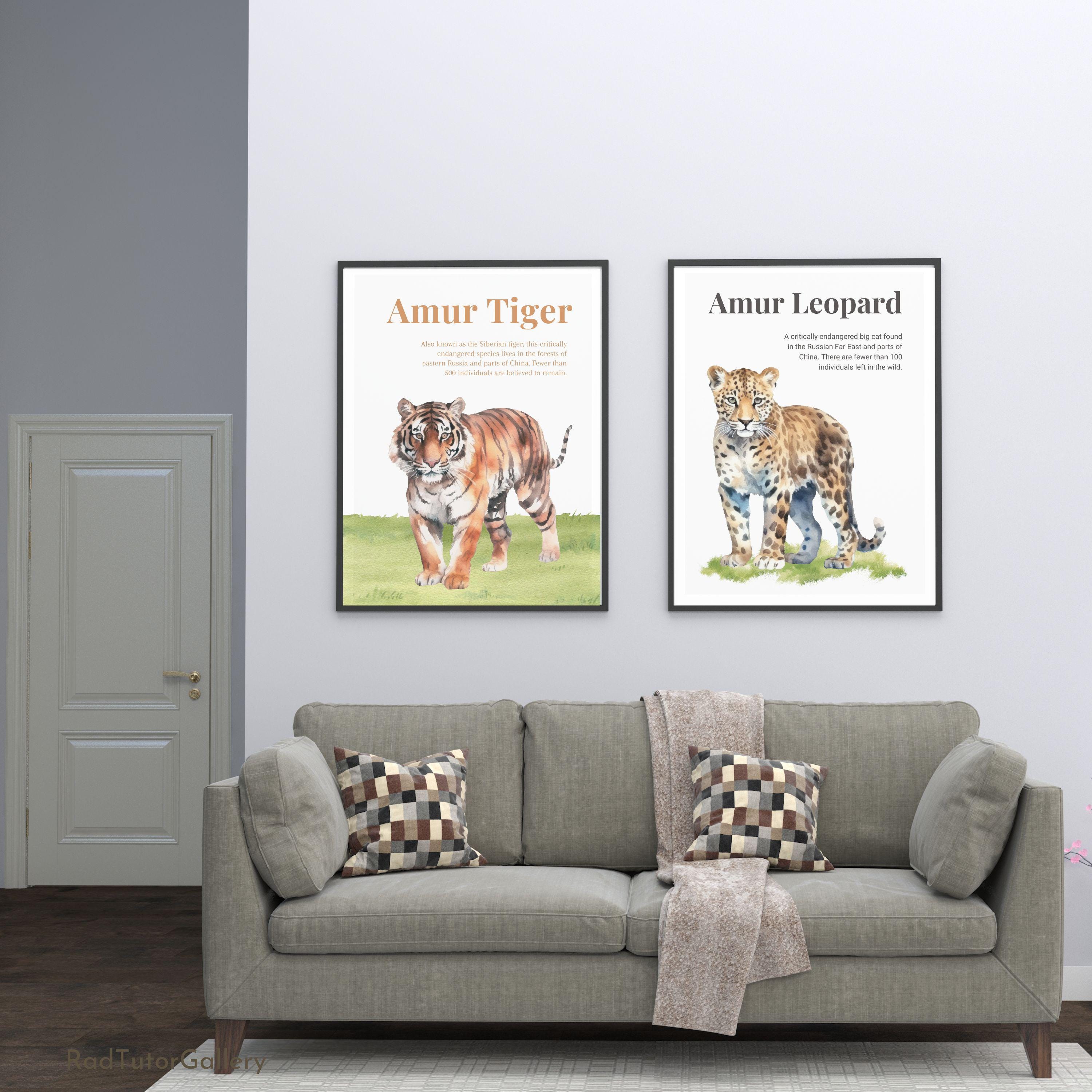 Endangered Species Posters, Animals Ecology Posters, High School ...