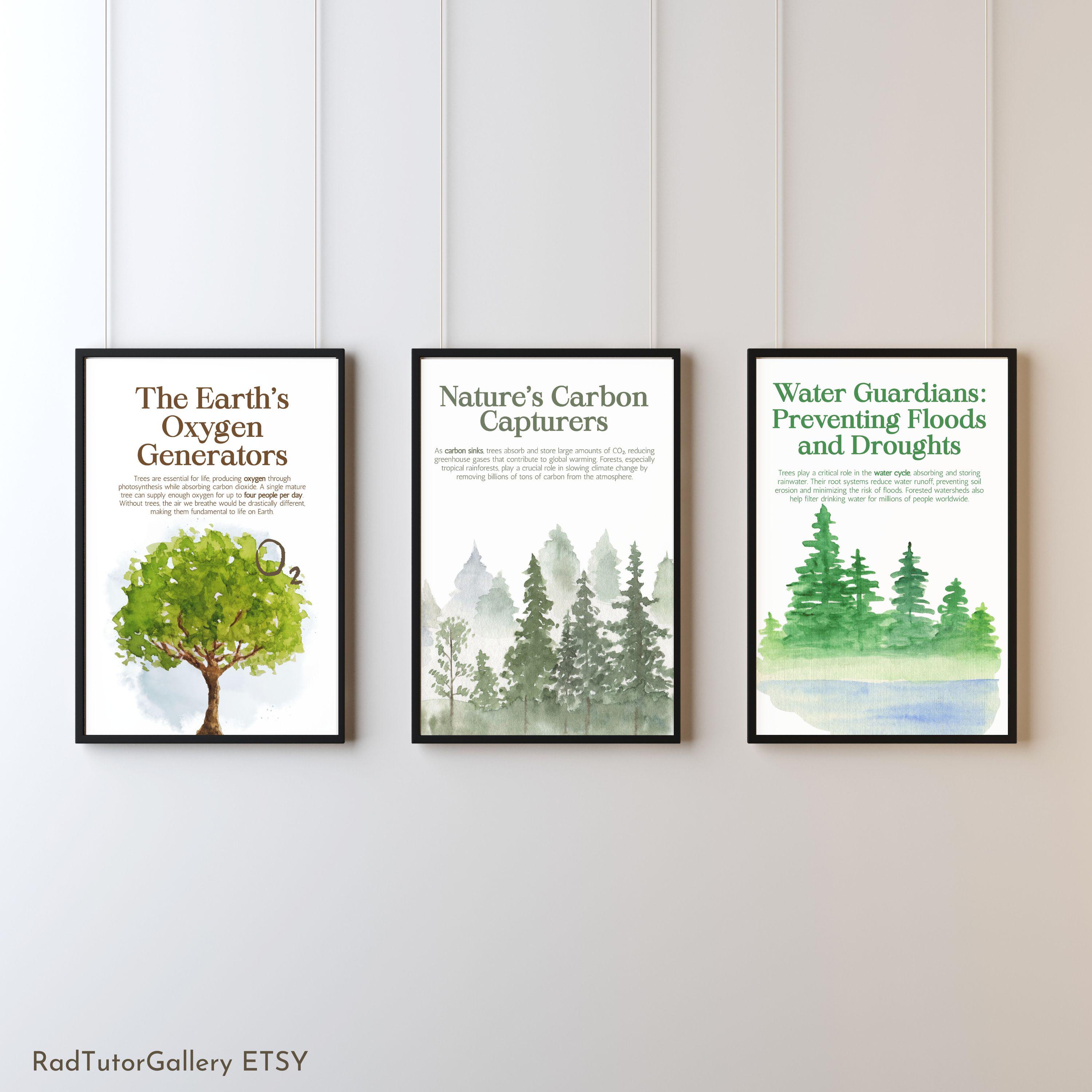 The Power of Trees Prints, Ecology Posters, High School Science ...