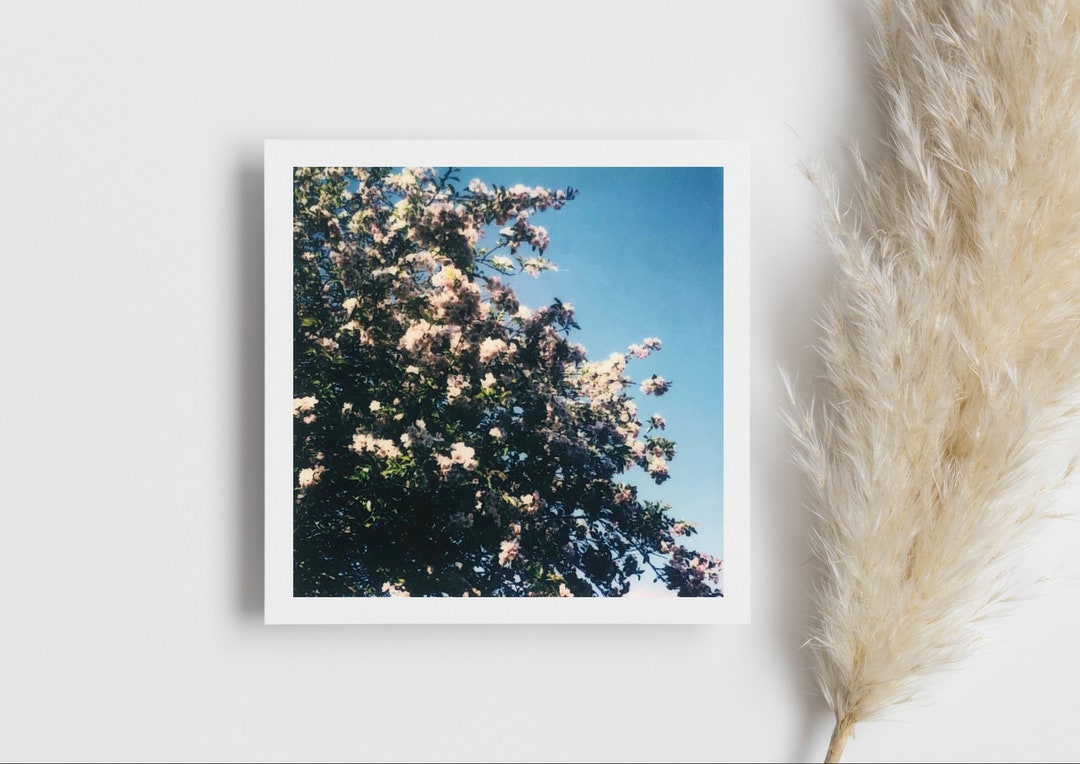 Primrose Greeting Card blank - Etsy