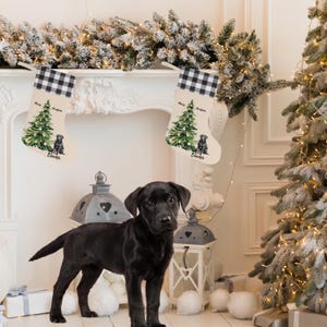 Personalized Black Labrador Dog Christmas Stocking, Custom Pet Name ...