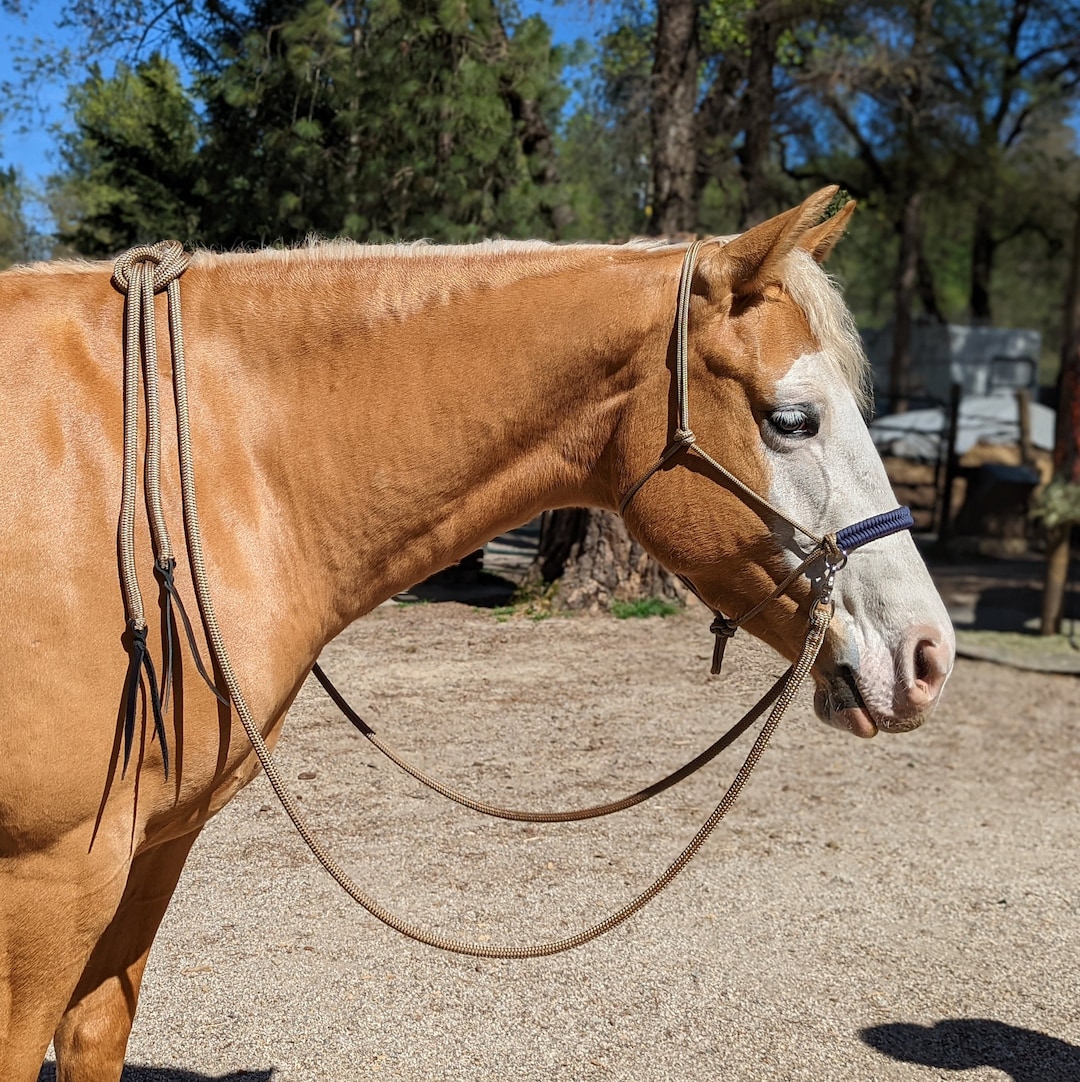 SPLIT REINS With PARACORD, Rope Reins, Double Braided Nylon Yacht Rope ...