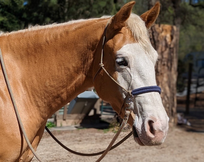 Rope Halter & Mecates Natural Horsemanship Hackamore 21 Colors 2 or 4 ...