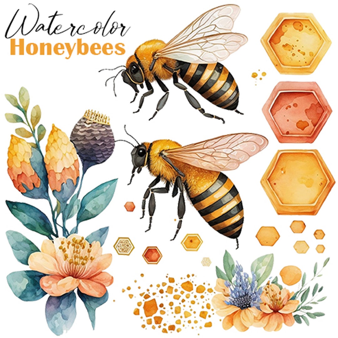 Watercolor Honeybee Clipart Bundle. Summer Clipart. Watercolor Flower ...