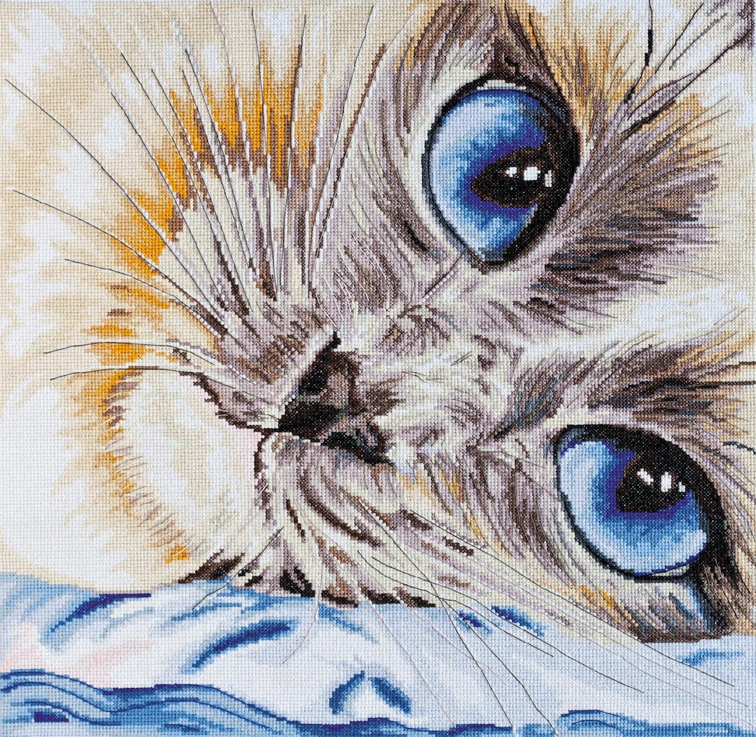 Counted Cross Stitch Kit Sapphire Eyes Cat Gaze Design DIY Embroidery ...