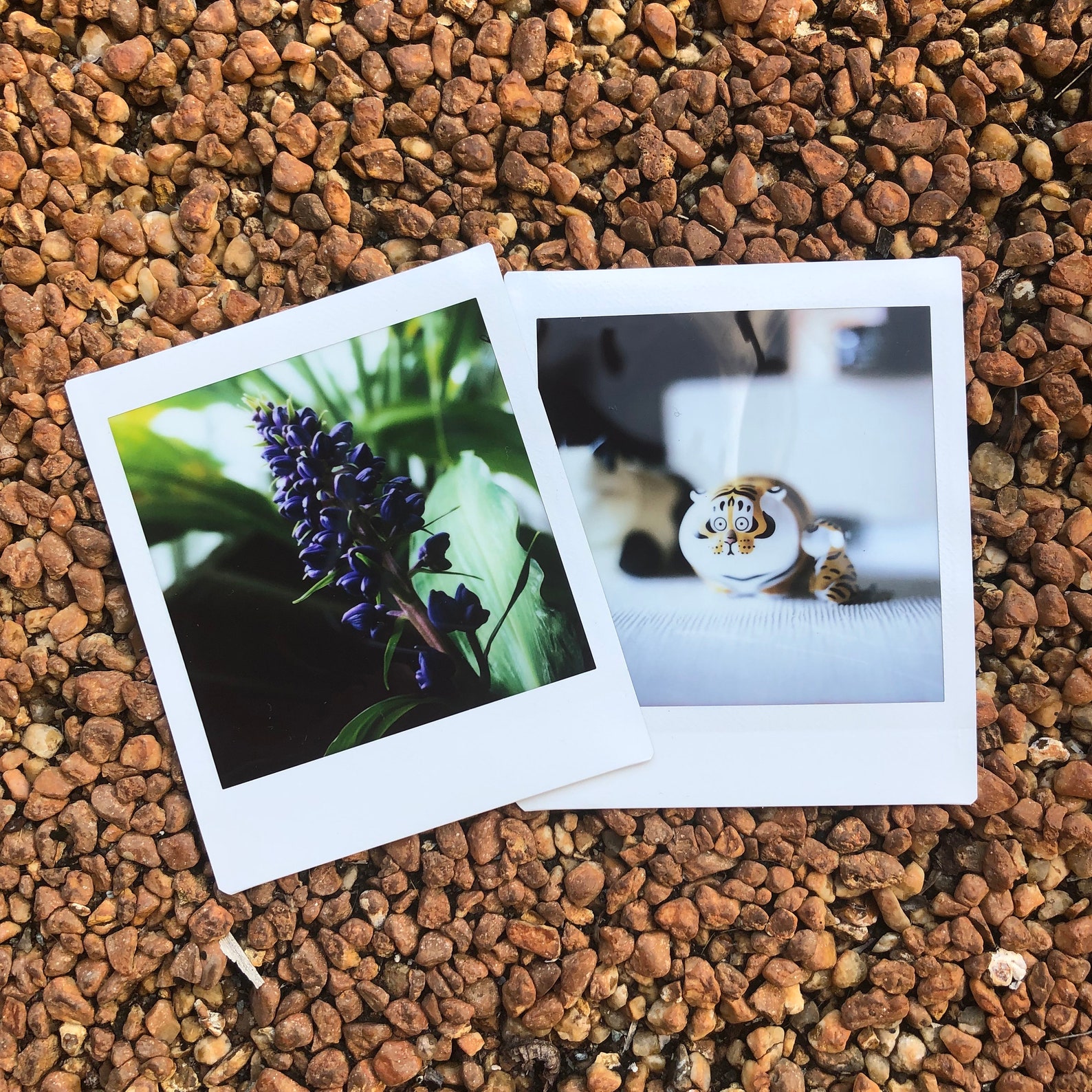 Jingstax - Motorized Instax Square Back for Mamiya RB67 - Etsy