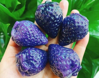 Purple Wonder Strawberry - Etsy