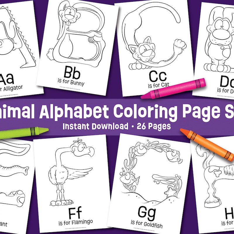 Animal Alphabet - Etsy