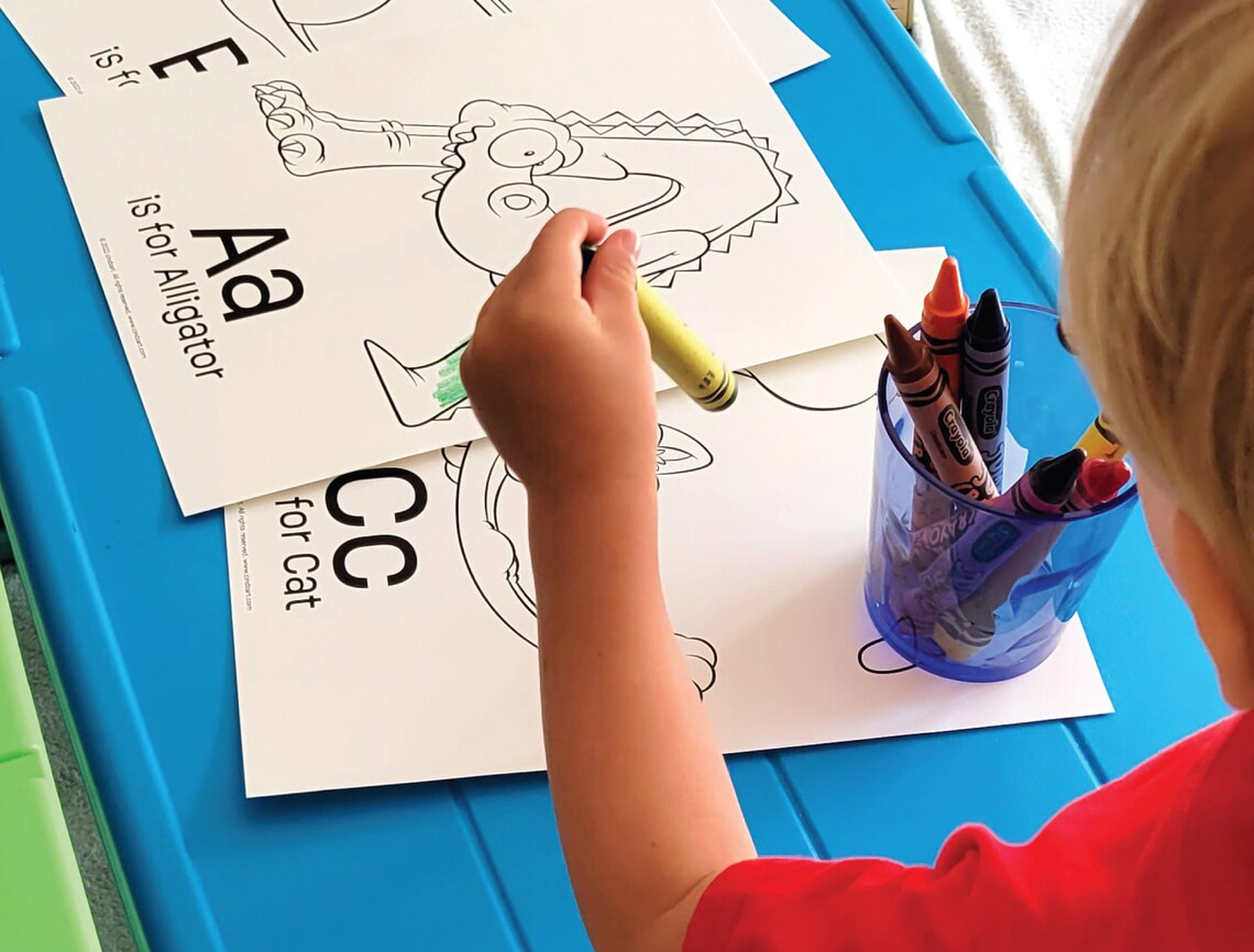 Animal Alphabet Flashcard & Coloring Page Activity Bundle Printable ABC ...