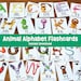 Animal Alphabet Flashcards - Printable - Instant Download - Printable ...