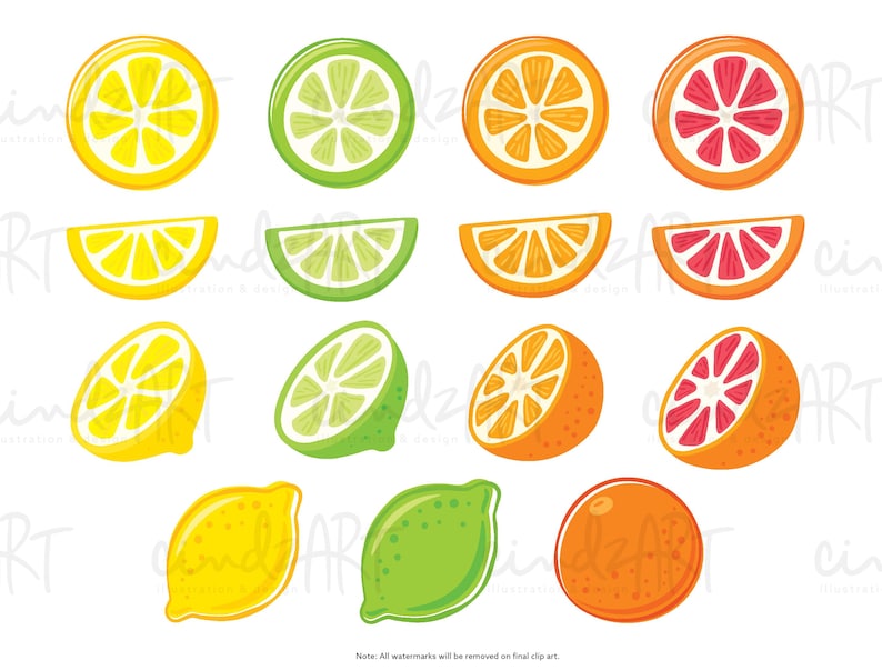 Fruit Clipart Set - Cute Fruit PNG - Summer Fruits Clipart - Fruit ...