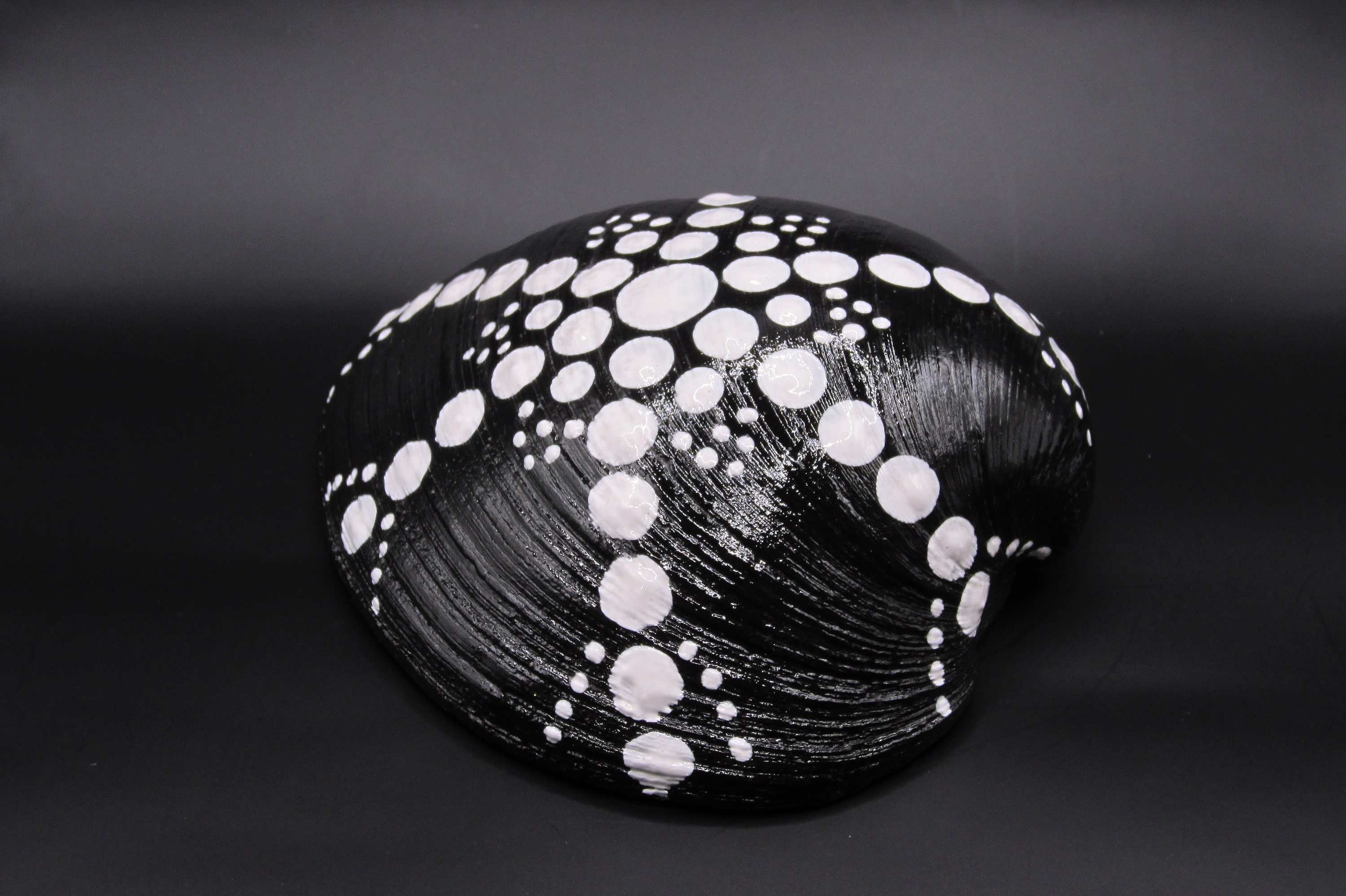 Hand Painted Sanibel Clam Seashells - "snowflake/black and White" - Etsy