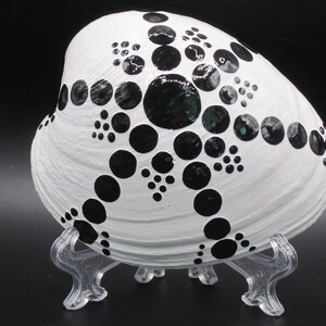 Hand Painted Sanibel Clam Seashells - "snowflake/black and White" - Etsy
