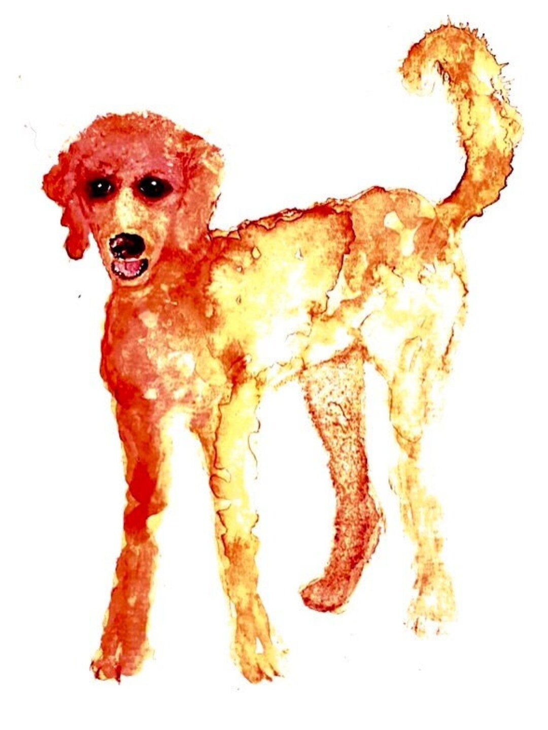 Standard Poodle Note Cards, Set of 10 Premium Blank Folded Note Cards ...