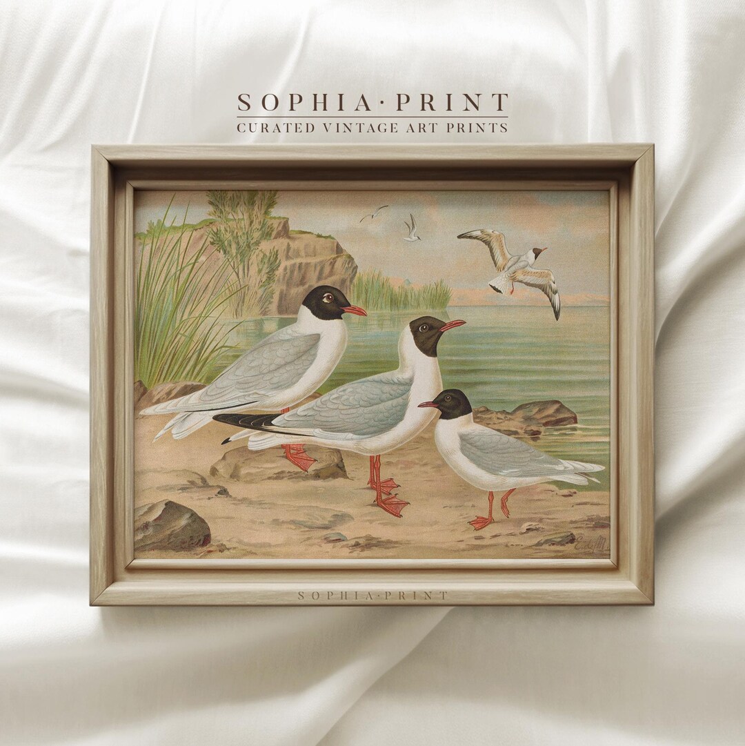 Shore Bird Art Print, Bird and Coastal Painting Art Print, Animal and ...
