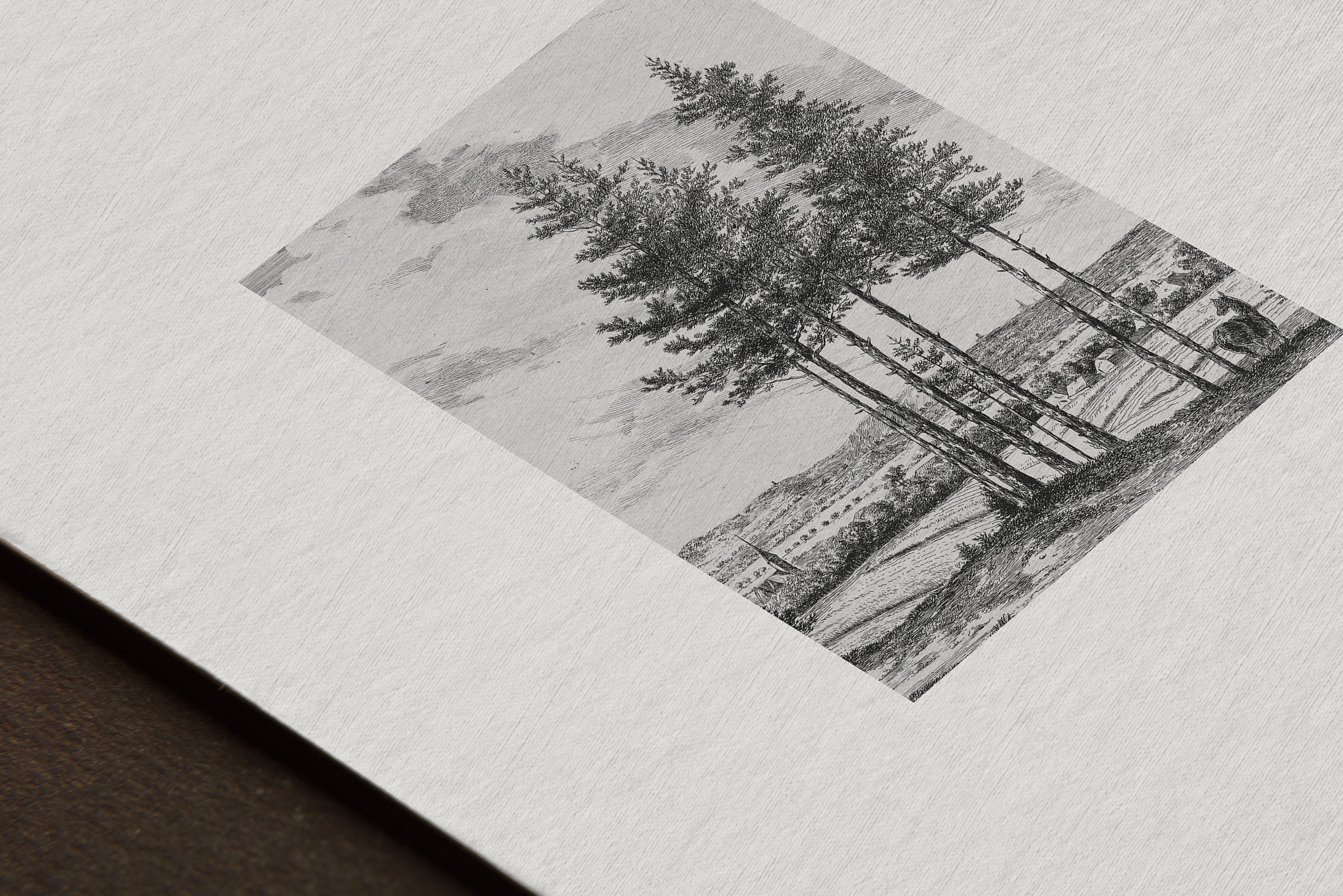 Vintage Etching Print Set | Tree Sketch Art | Forest Drawing | MAILED ...