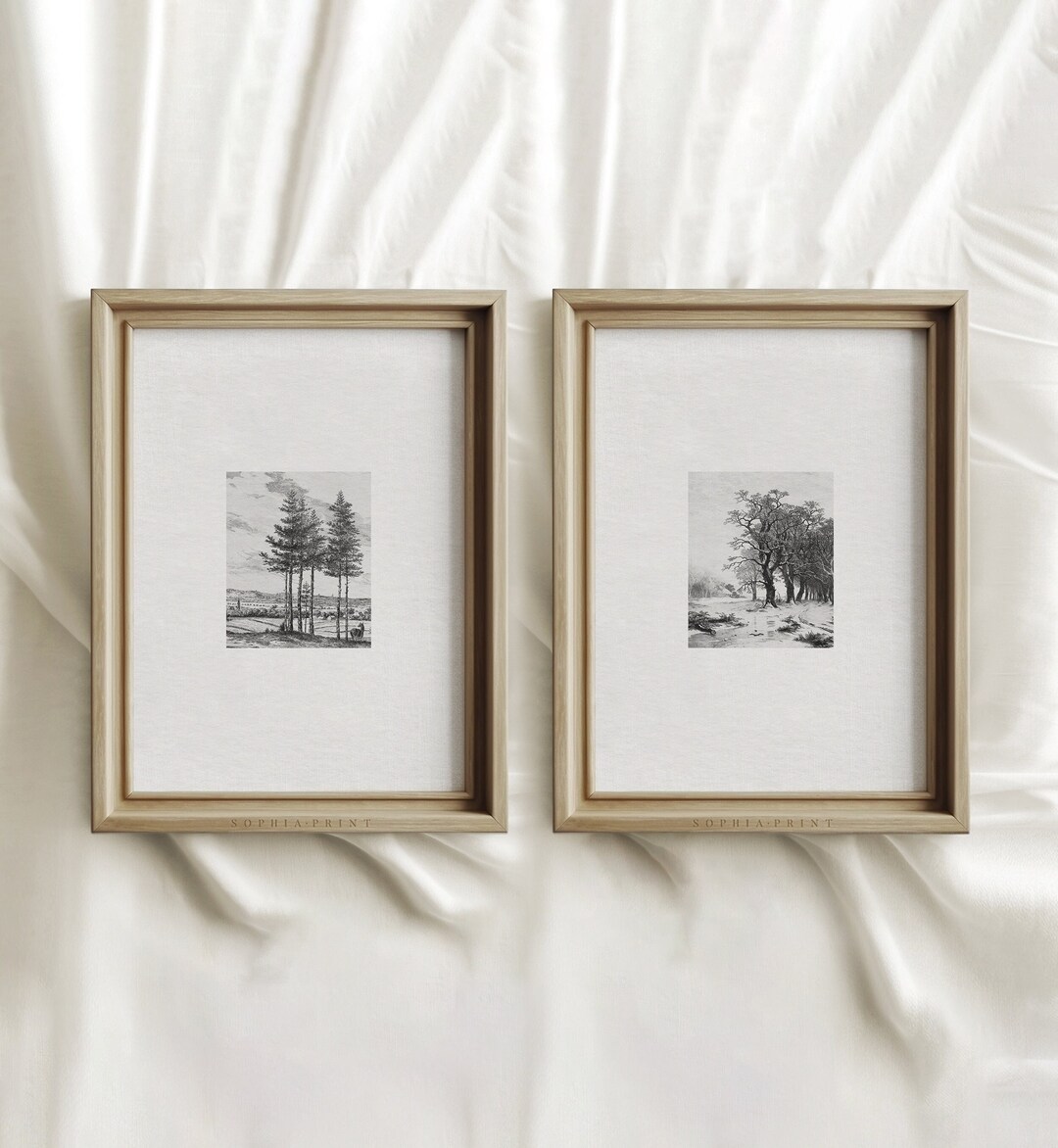 Vintage Etching Print Set | Tree Sketch Art | Forest Drawing | MAILED ART PRINTS #9 - Etsy