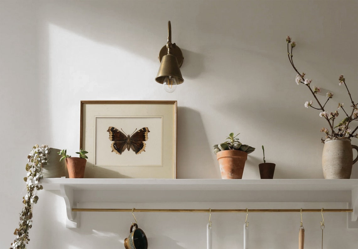 Vintage Neutral Butterfly Print, Dark Moody Insect Wall Art, Animal ...