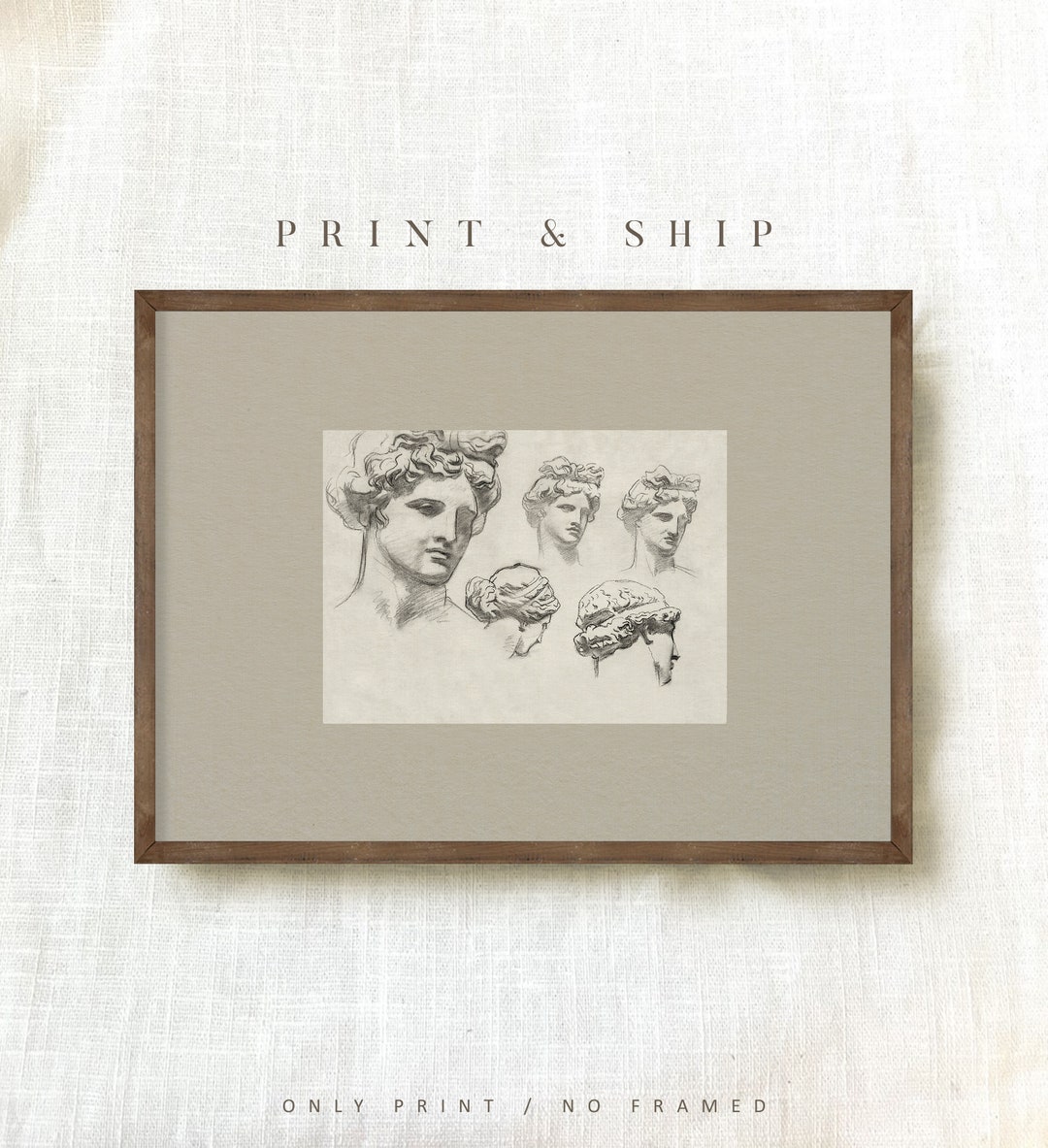 PRINTED Vintage Study Sketches, Ancient Sculpture Drawing, Antique Wall ...