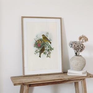 Bird and Eyrie Painting Art Print, Birds and Nestinges Art Print ...