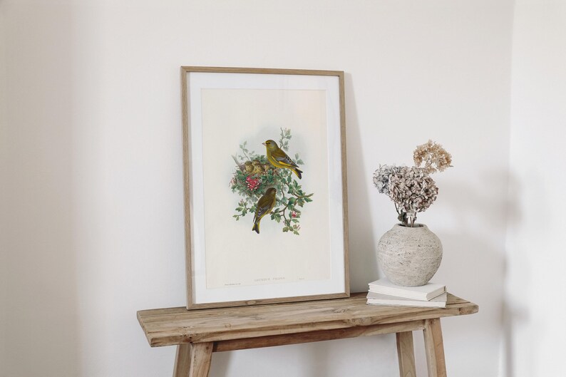 Bird and Eyrie Painting Art Print, Birds and Nestinges Art Print ...