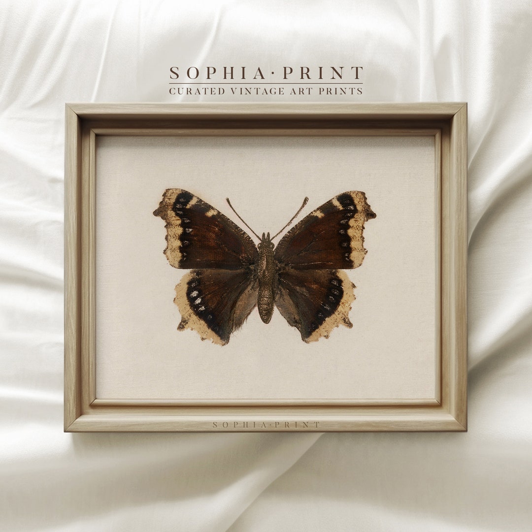 Vintage Neutral Butterfly Print, Dark Moody Insect Wall Art, Animal ...